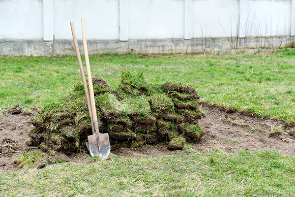 7 Steps on How to Lay Lawn Turf | Seasol