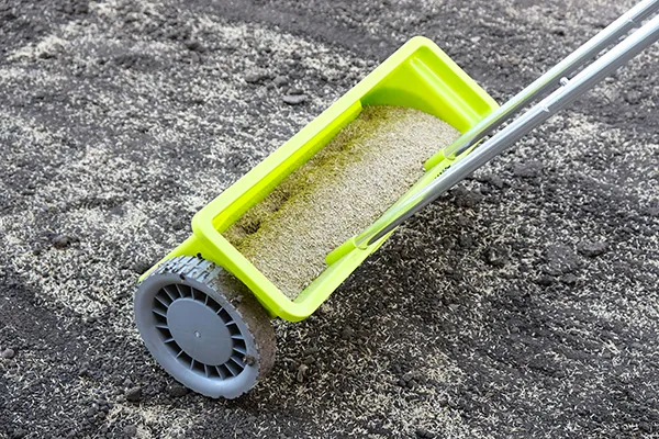 7 Steps on How to Sow Lawn Seed | Seasol