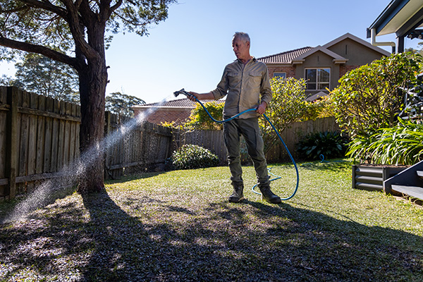 How to Sow Lawn Seed: 7 Steps for a Thriving Lawn | Seasol