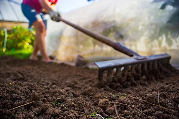 7 Steps on How to Sow Lawn Seed | Seasol